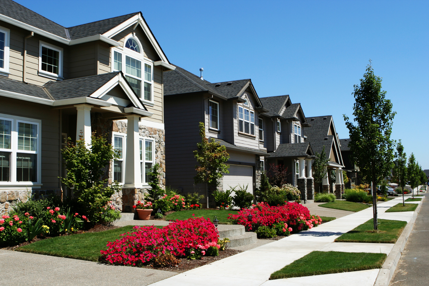 Harrington Pointe